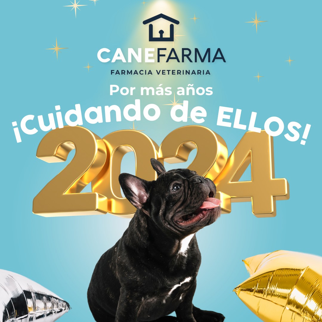 Así se vivió en Pénjamo las fiestas patrias – Penjamotv